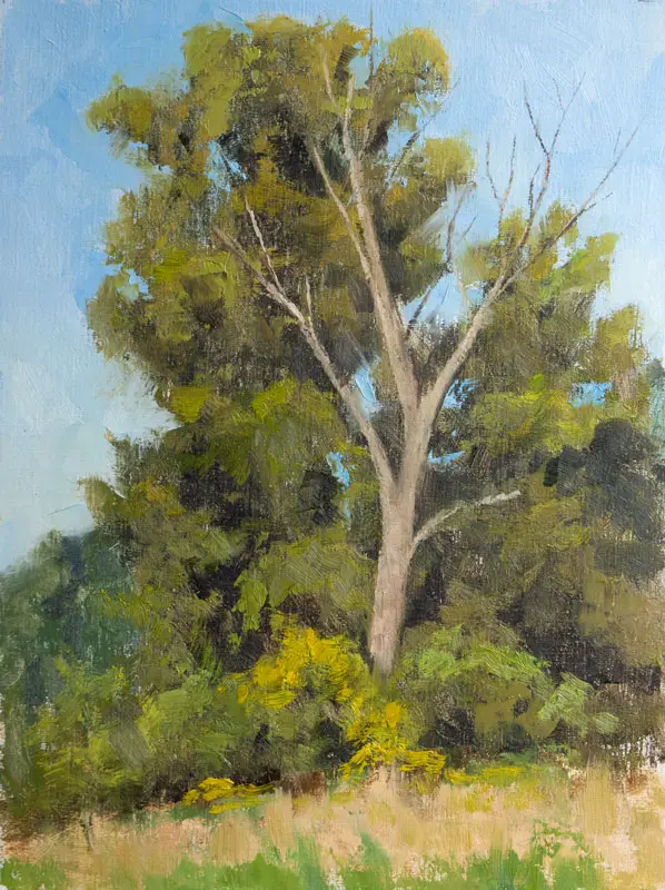 Seven Secrets for Good Tree Paintings - My Sketch Journal